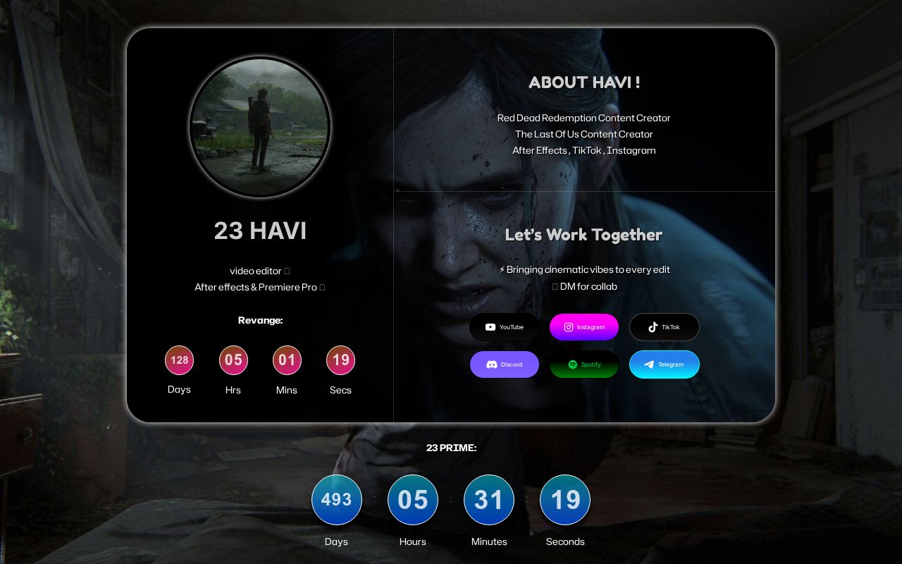 23 HAVI